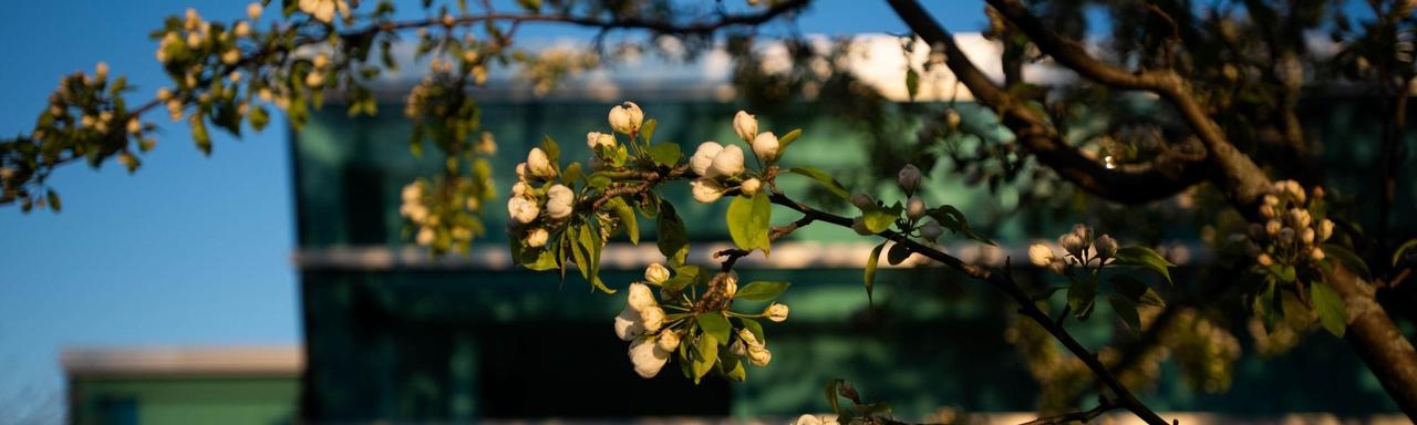 Environmental and Sustainability Studies - Grand Valley State University